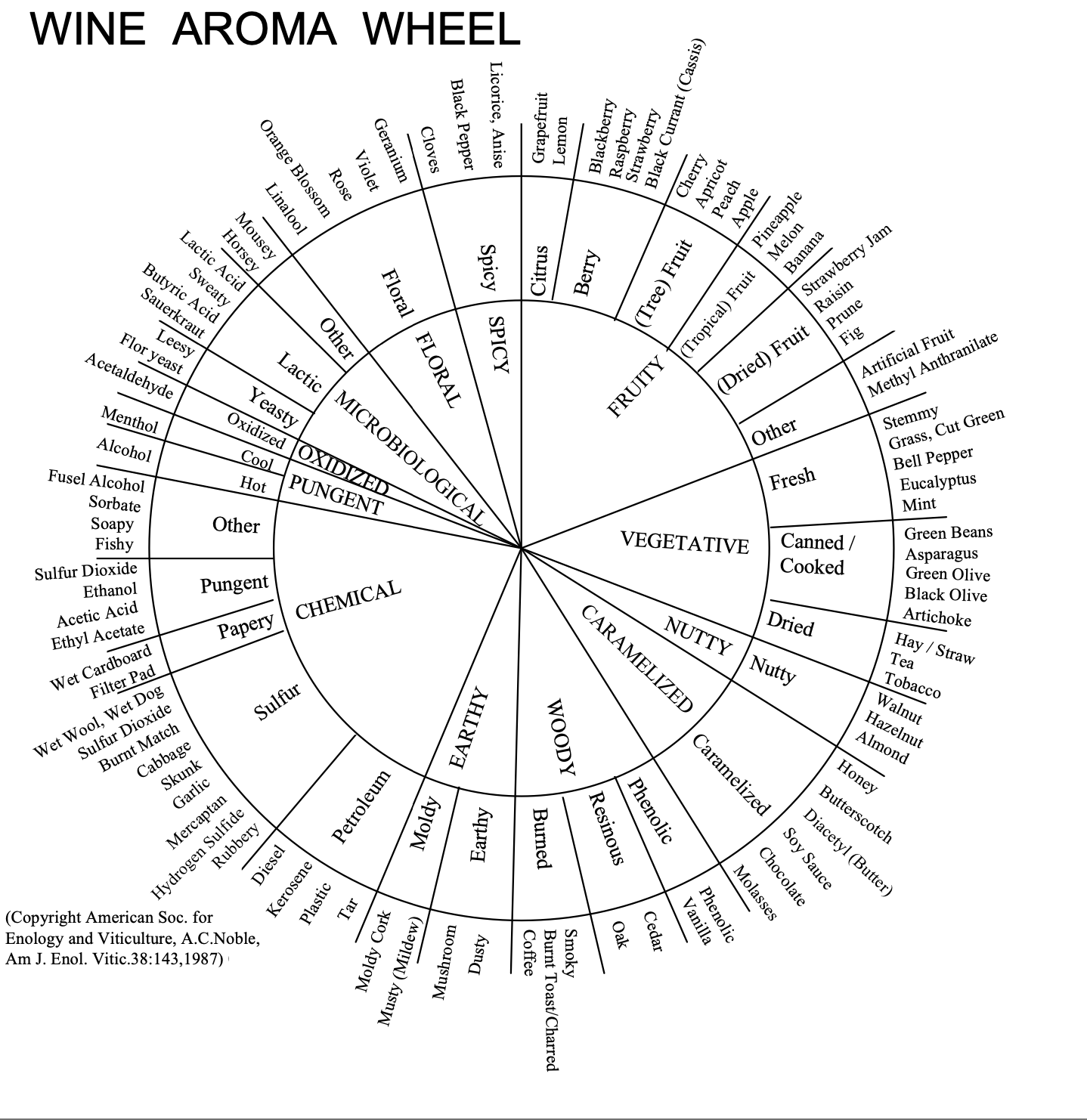 The Origin of Wine Aromas & Flavors | Veritas Winery, VA