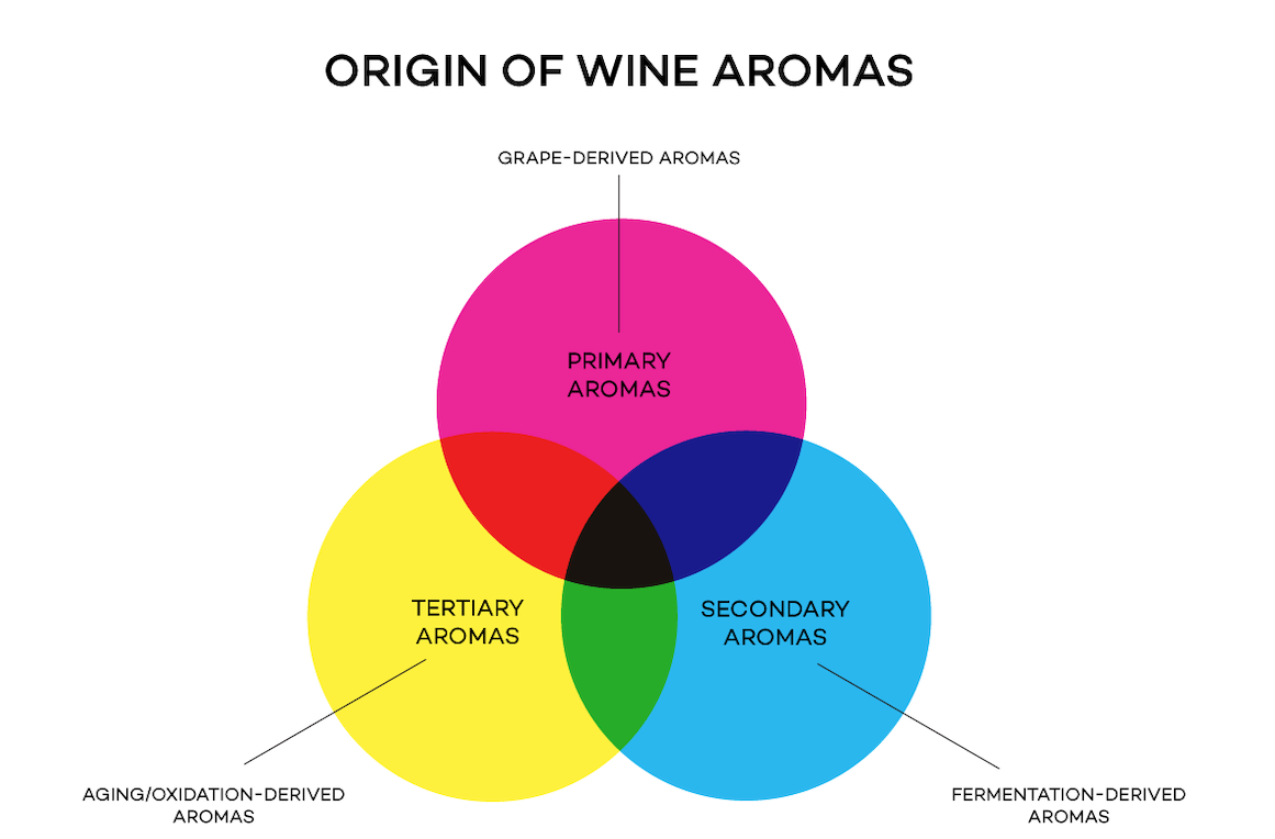 The Origin of Wine Aromas & Flavors | Veritas Winery, VA